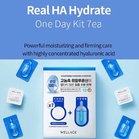 WELLAGE Real Hyaluronic One Day Kit 7 sets – Amore Cosmetics